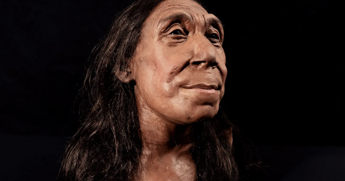Scientists reconstructed the face of a female Neanderthal — photo