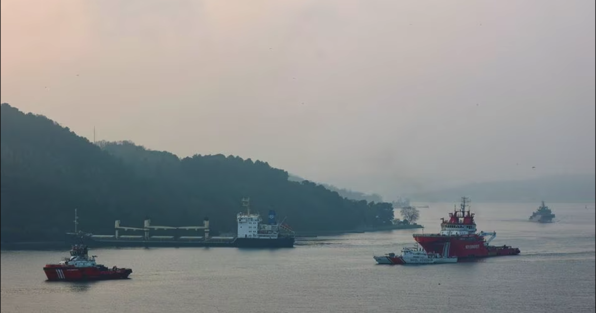 A cargo ship with Ukrainian peas ran aground in the Bosphorus