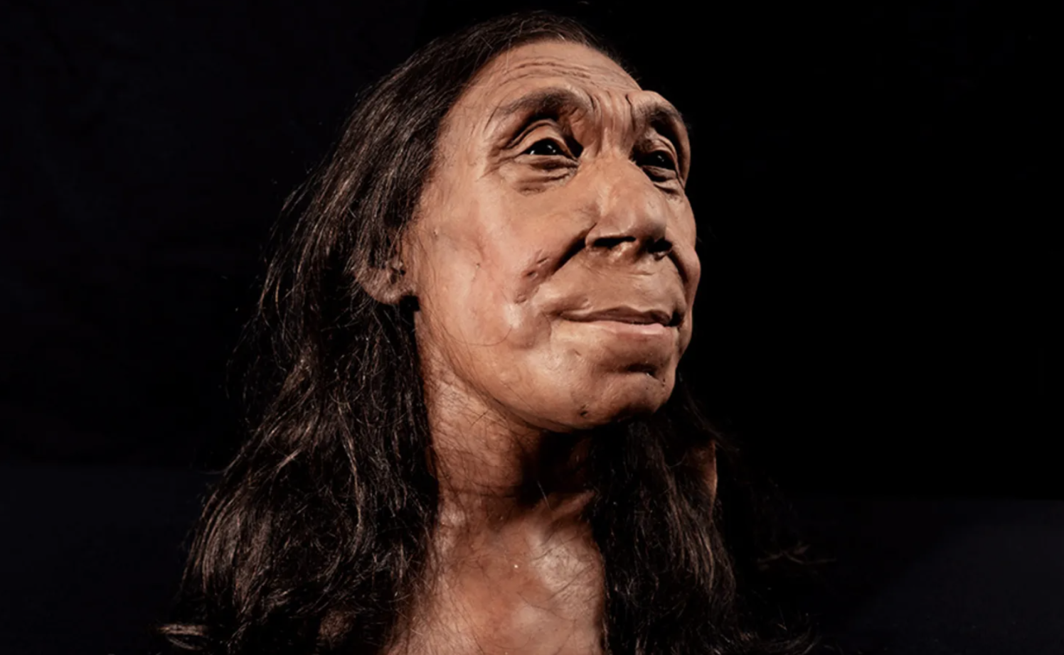 Scientists reconstructed the face of a female Neanderthal — photo