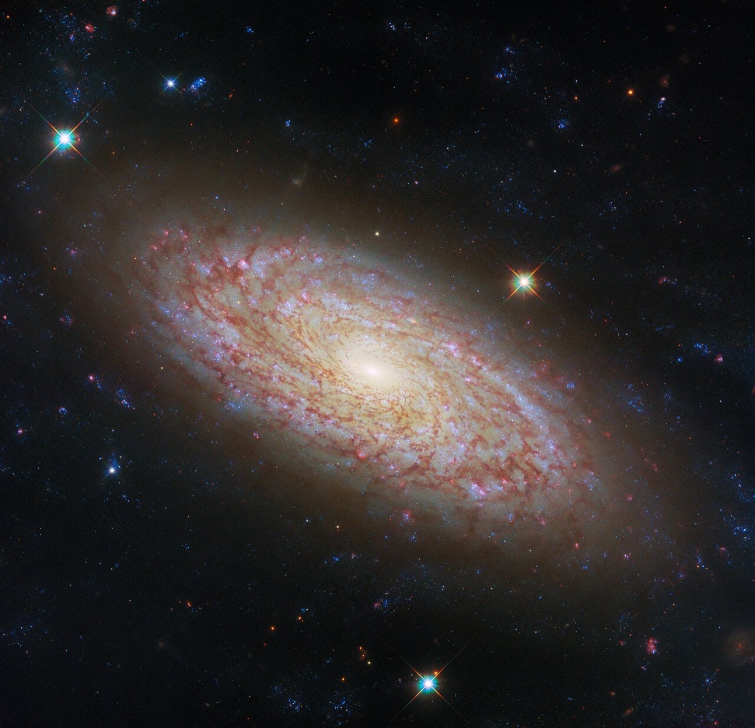 Hubble showed the galaxy NGC 2090 from the constellation Columbus — photo
