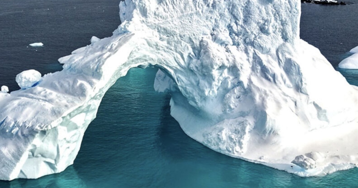 Ptushkinʼs film Antarctica broke a record among documentaries — how much did it earn in its ...