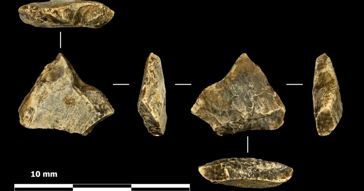 The oldest traces of mammoth bone processing found in Khmelnytskyi region