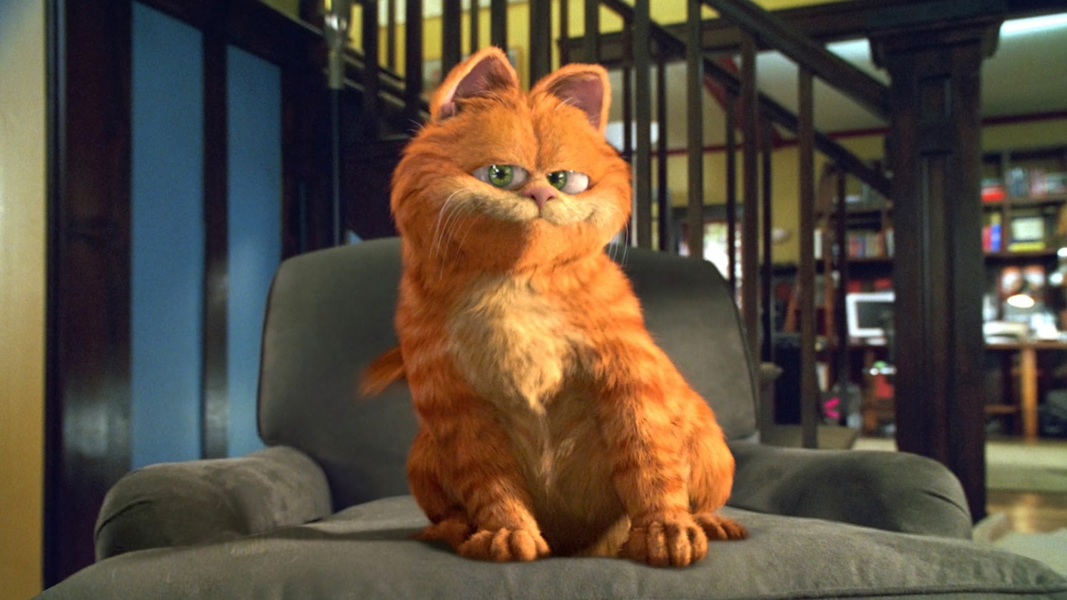 Scientists have revealed the secret of ginger cats
