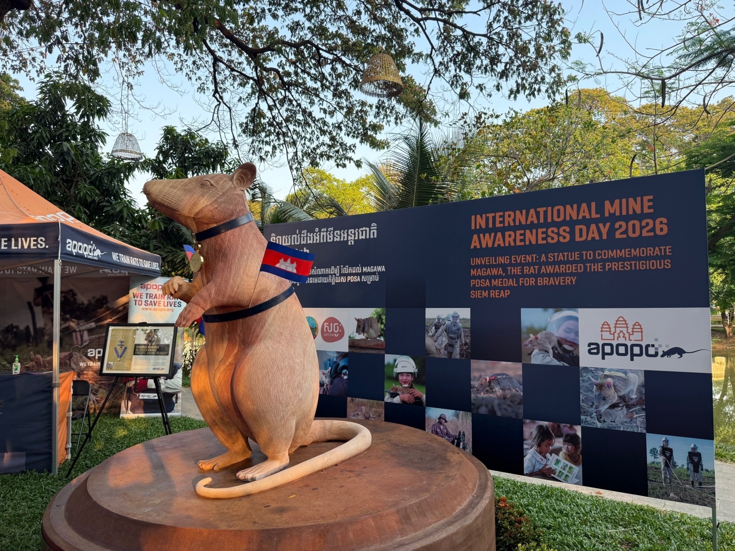 Statue in honor of famous mine-snapper rat unveiled in Cambodia