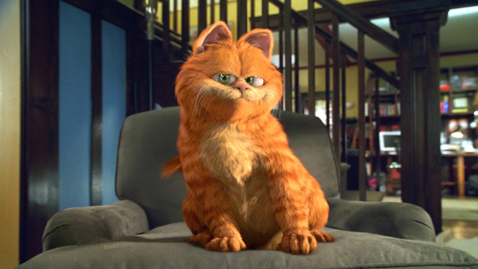 Scientists have revealed the secret of ginger cats